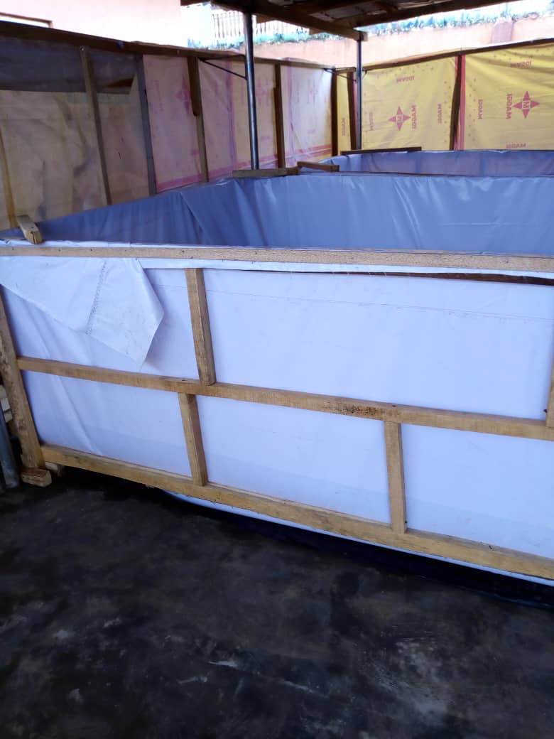 Feasibility: Starting Up Your Fish Farm/poultry Business - Business ...