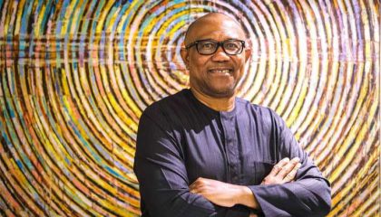 NLNG’s $10bn Train 7 Project Hits 80% Completion - Business Hallmark